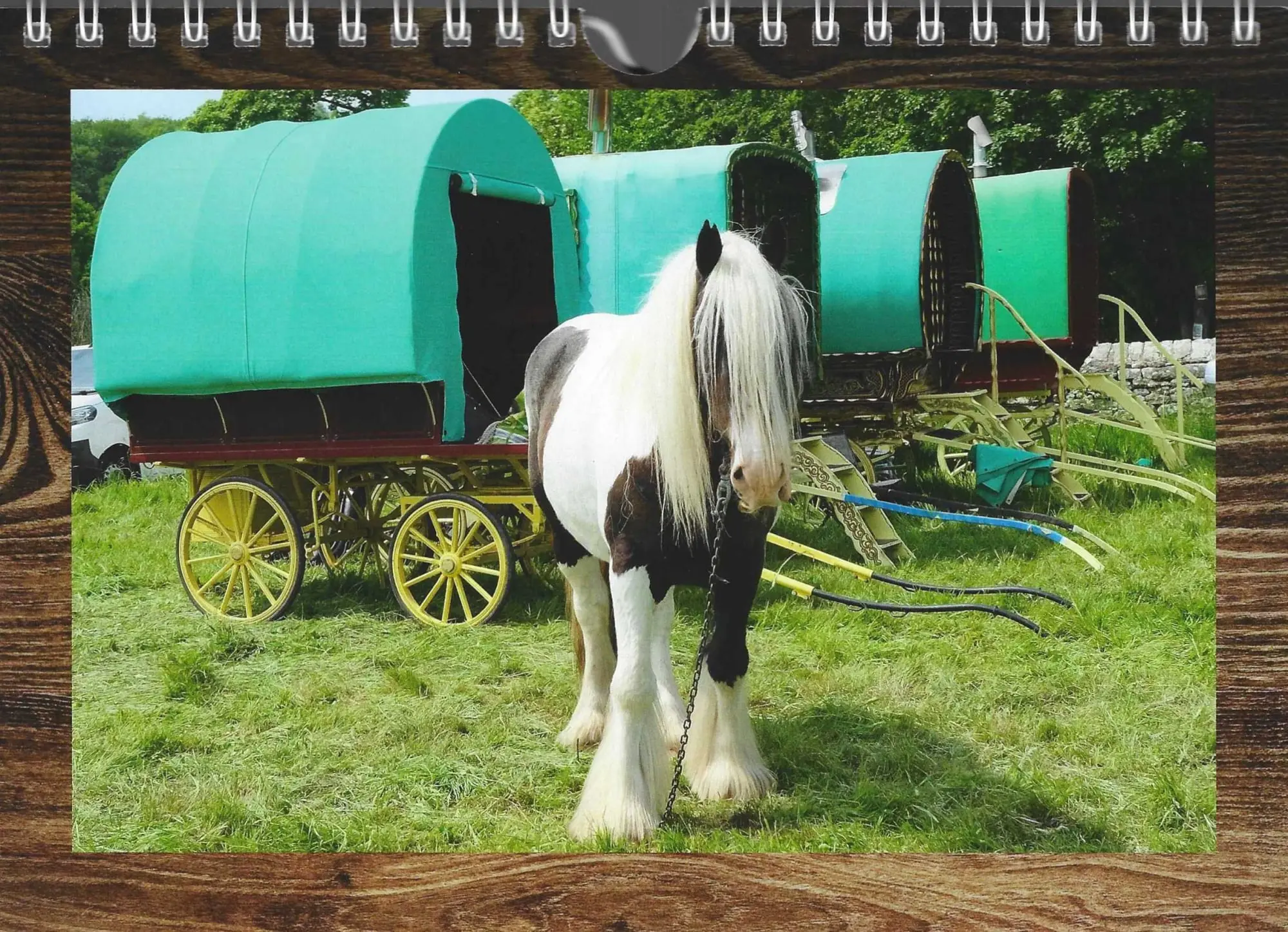 Romany Gypsy films and music section.